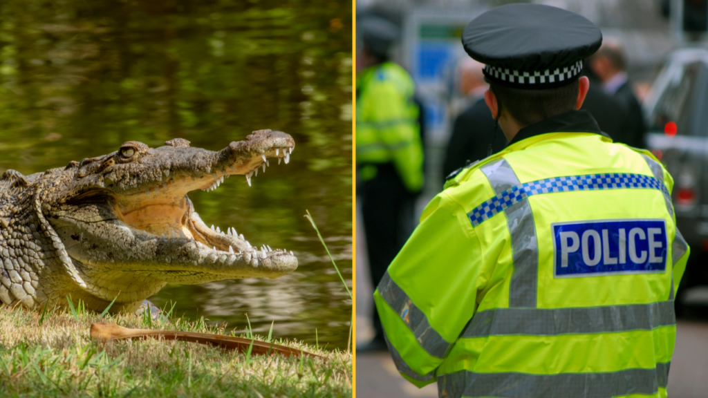 Police issue update as man arrested after three-year-old ended up in ...